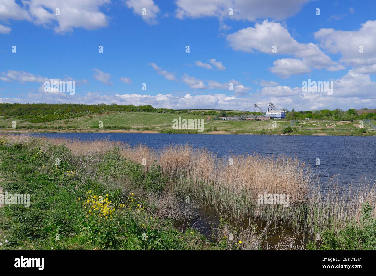 RSPB St aidan's Country Park in Swillington,Leeds. The home of 'Oddball ...