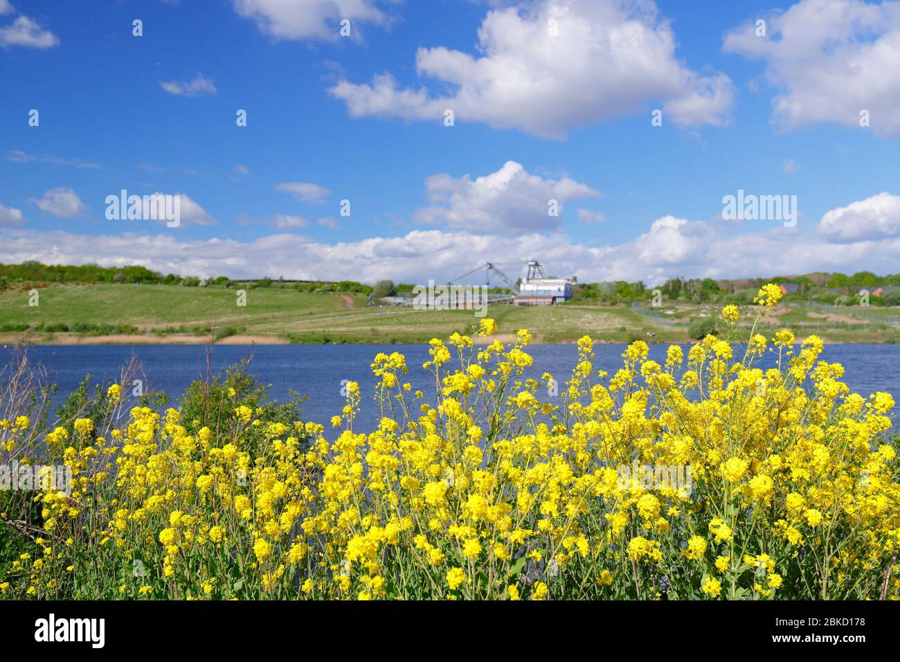 RSPB St aidan's Country Park in Swillington,Leeds. The home of 'Oddball ...