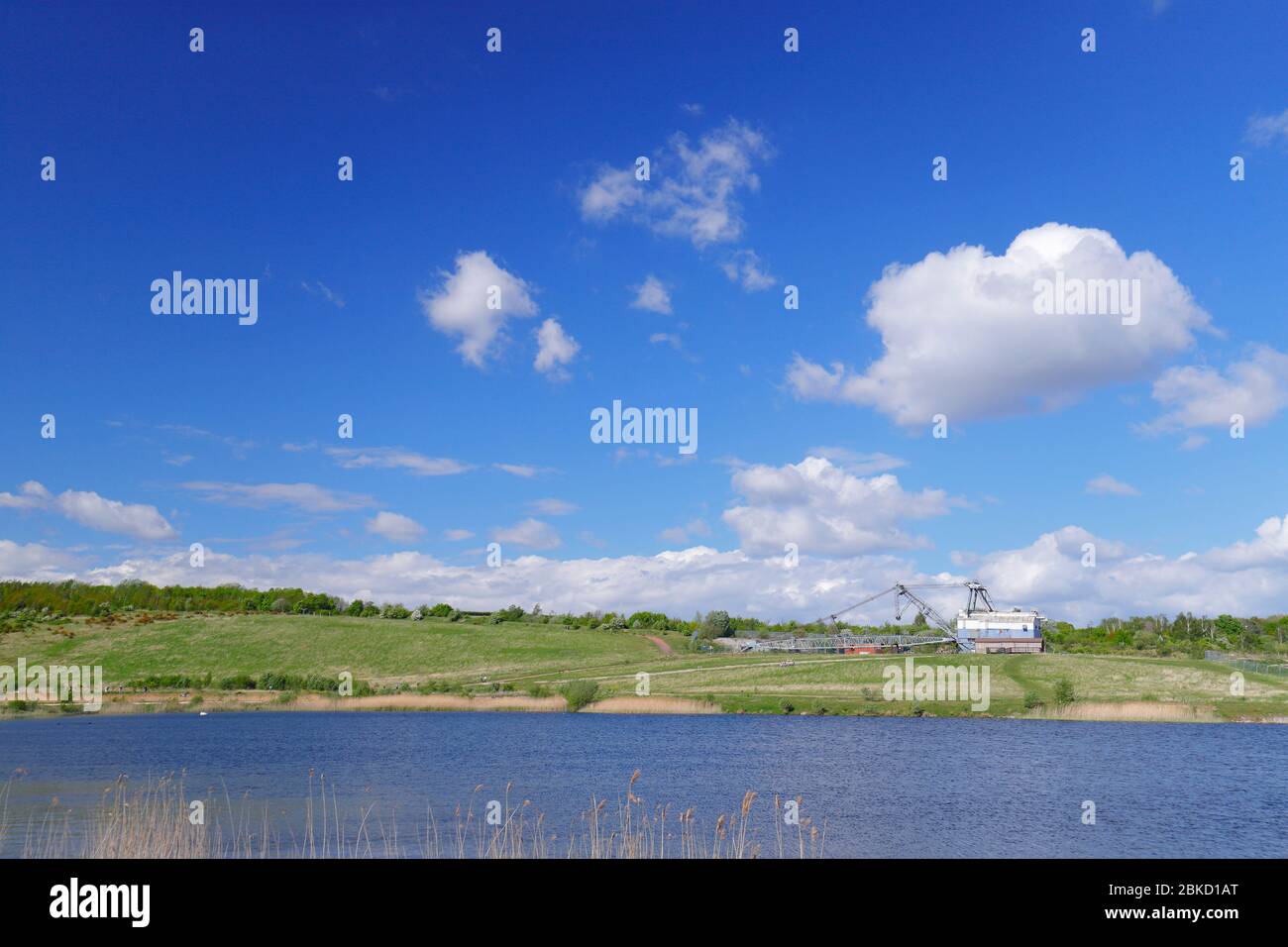 RSPB St aidan's Country Park in Swillington,Leeds. The home of 'Oddball ...