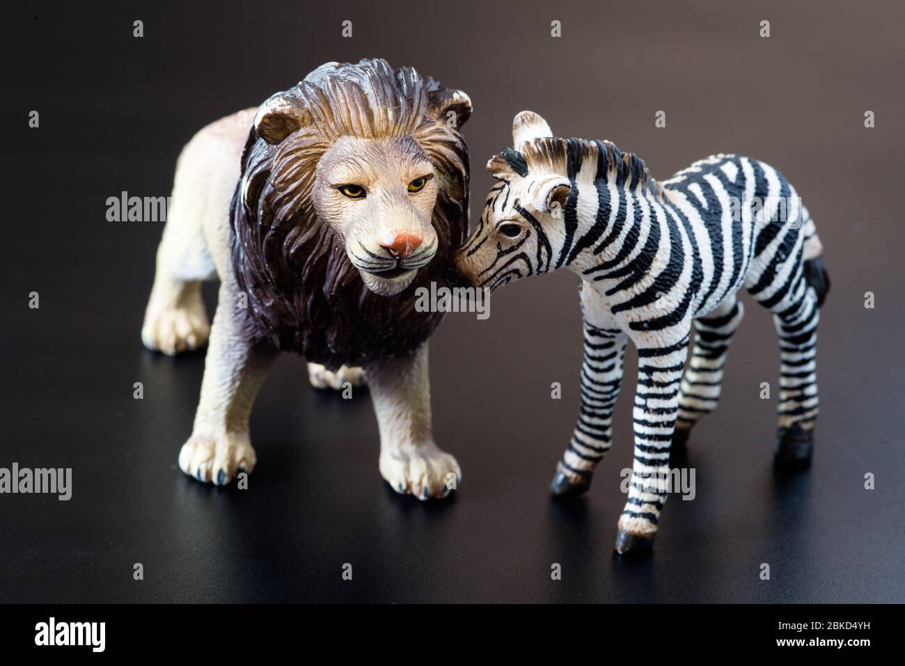 Lion and Zebra toy concept Stock Photo - Alamy