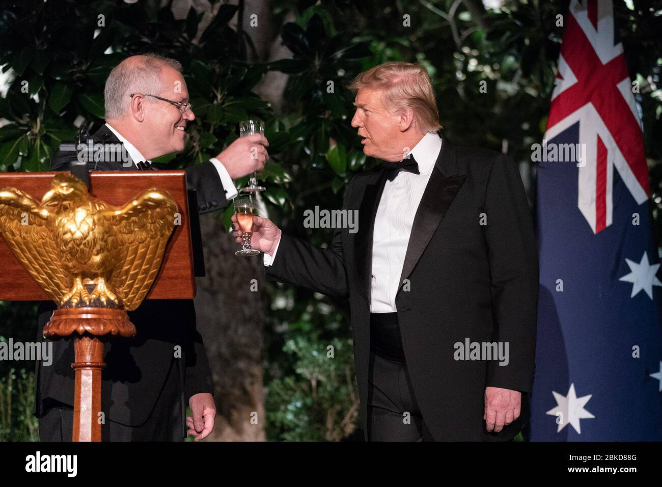 Trump is toast hi-res stock photography and images - Alamy