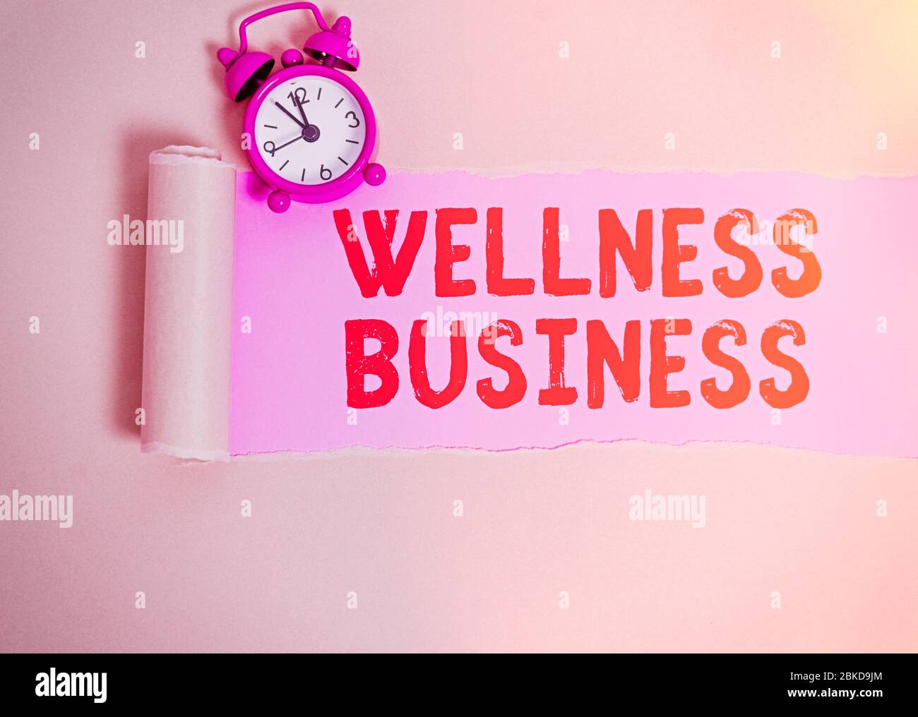 Handwriting text writing Wellness Business. Conceptual photo ...