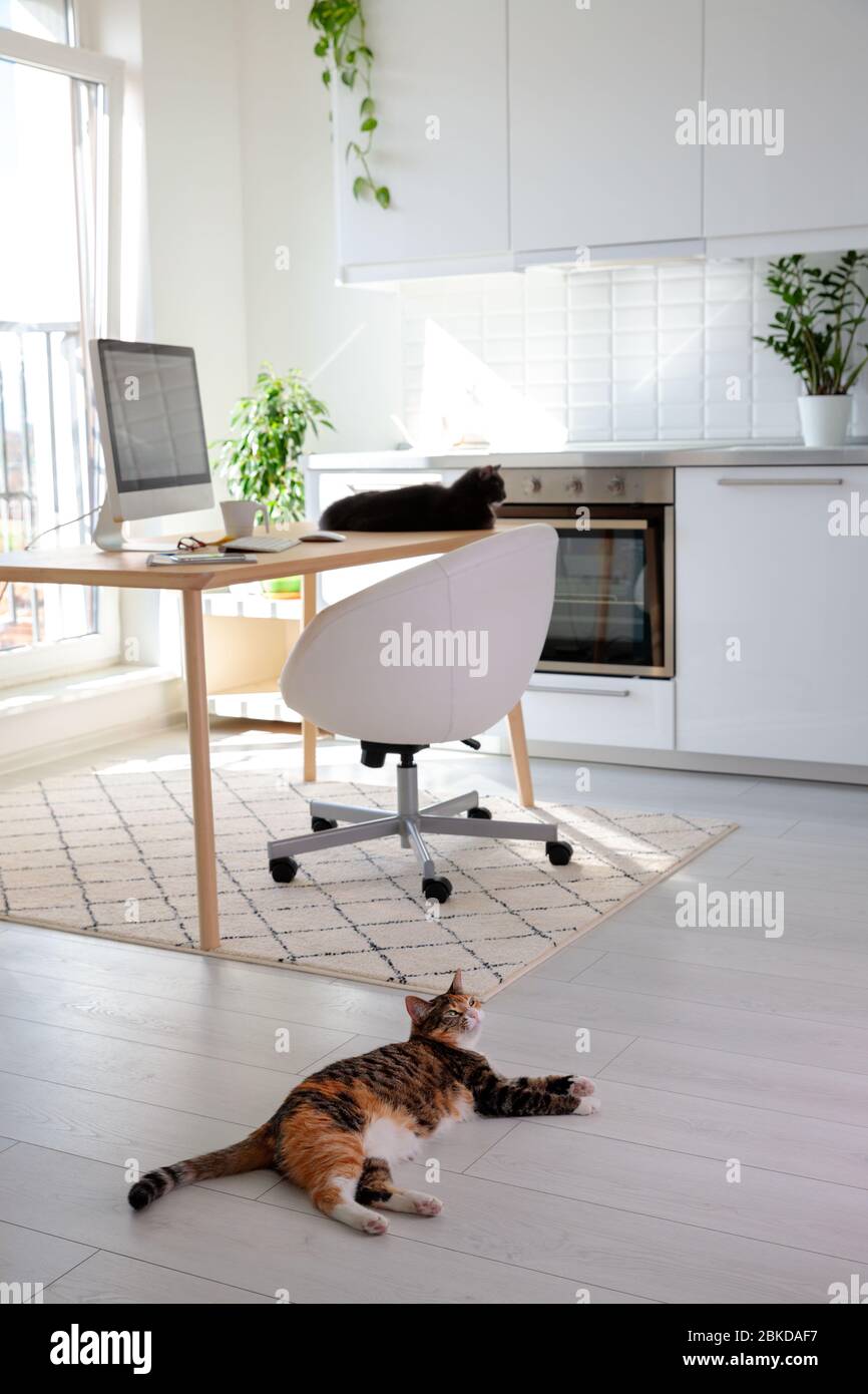 Laziness hi-res stock photography and images - Alamy