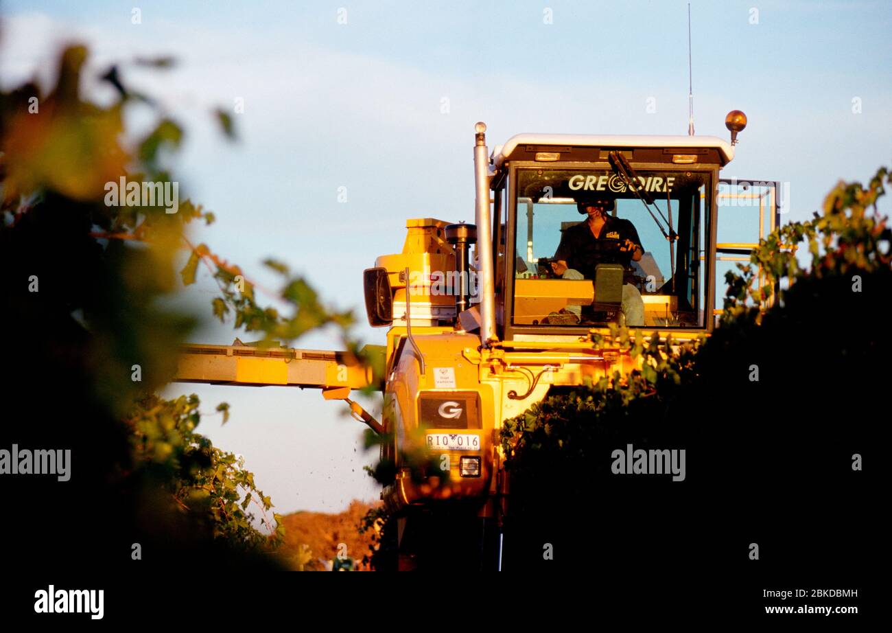 Grapes farming machine hi-res stock photography and images - Alamy