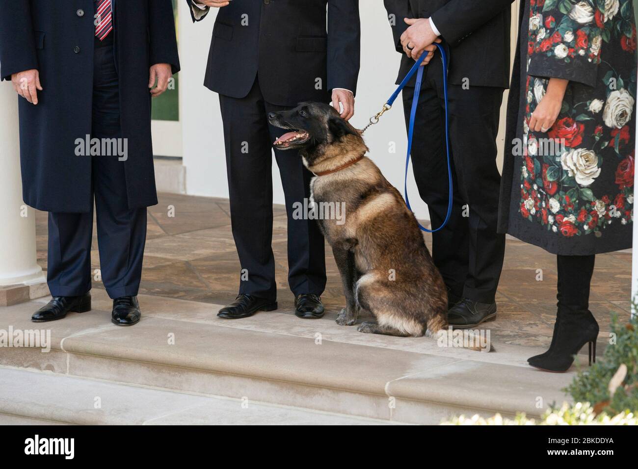On November 25, 2019, President Donald Trump, Vice President Mike Pence ...