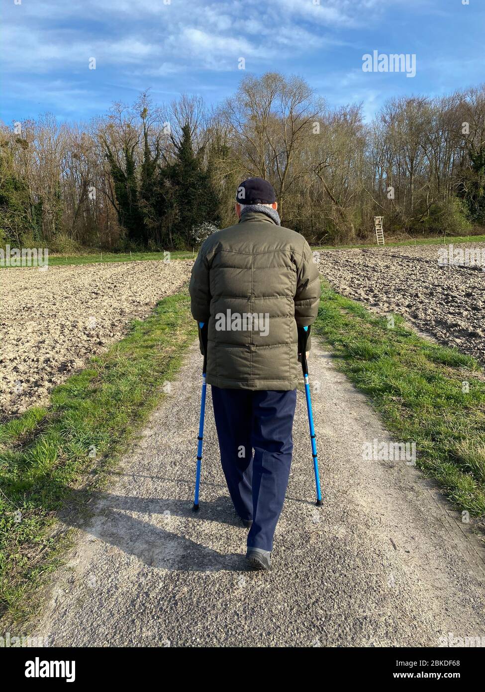 Walking Canes High Resolution Stock Photography and Images - Alamy