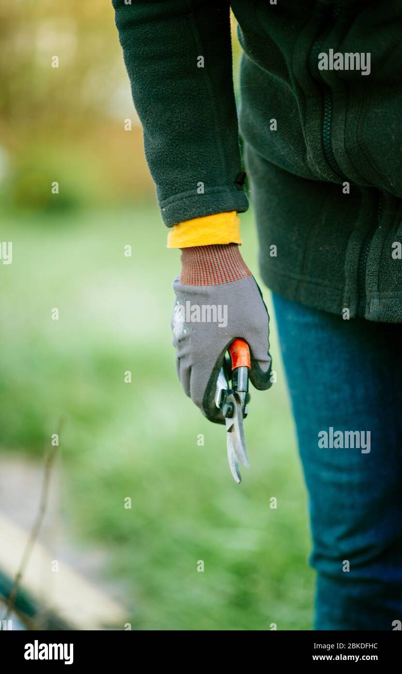 Secateurs hi-res stock photography and images - Alamy