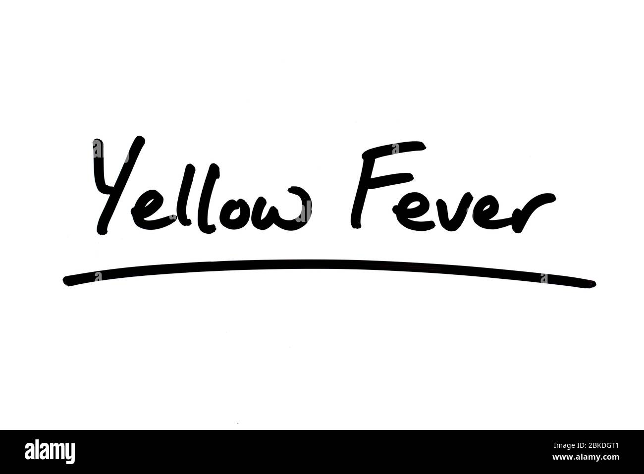 Yellow Fever handwritten on a white background Stock Photo - Alamy