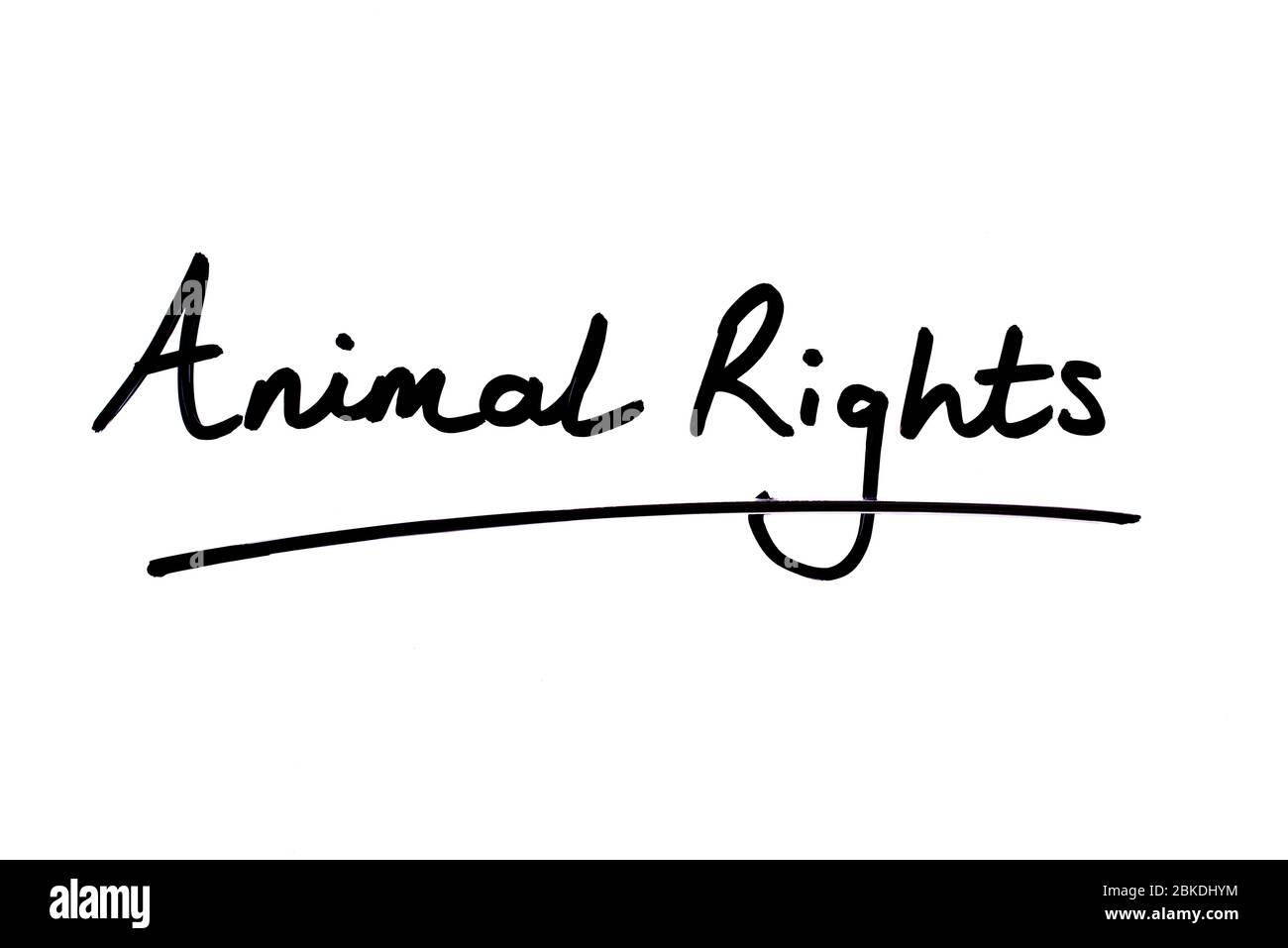 Animal Rights handwritten on a white background Stock Photo - Alamy