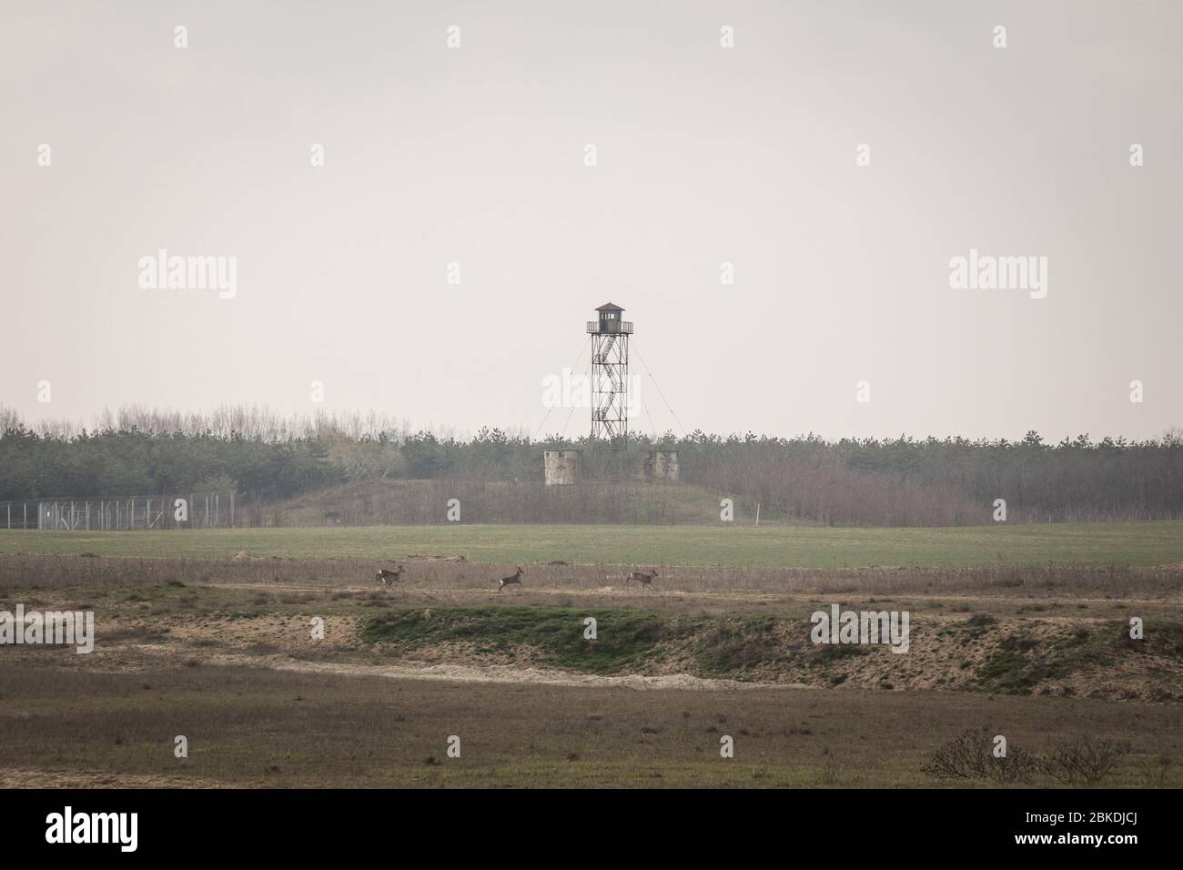 Serbia & Hungary border between Kelebia & Tompa, with a watchtower the ...