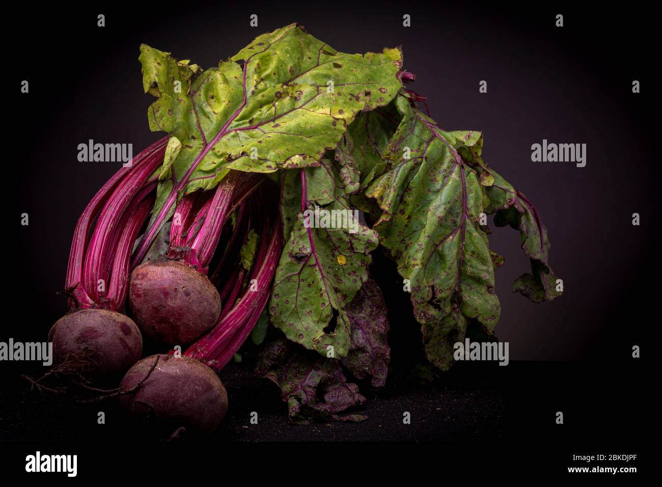 Purplish matt red beet with stems and large vibrant green leafs ...