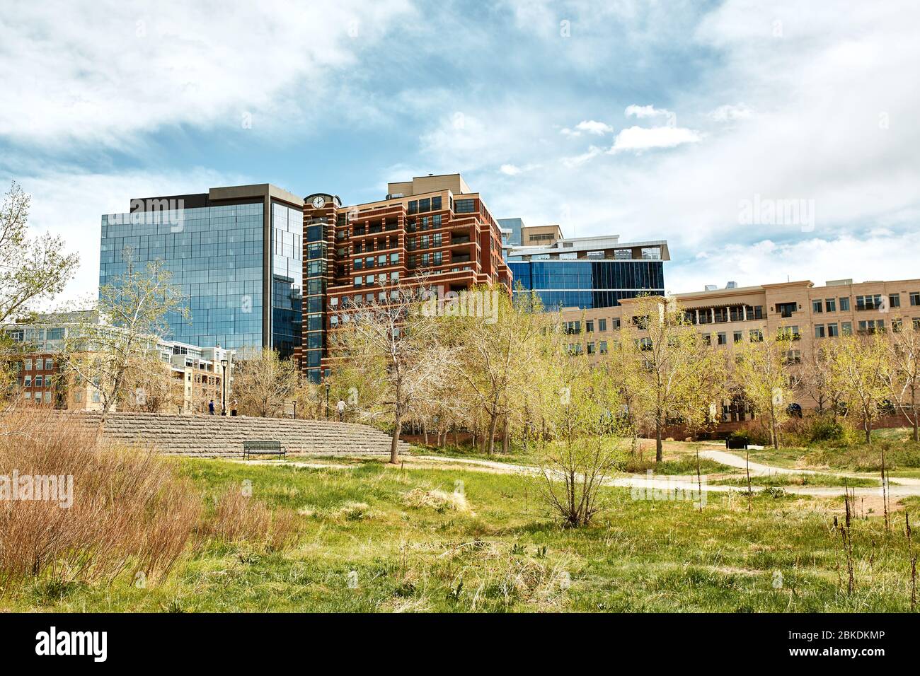 Landscape view of Commons Park with apartments and office buildings in ...