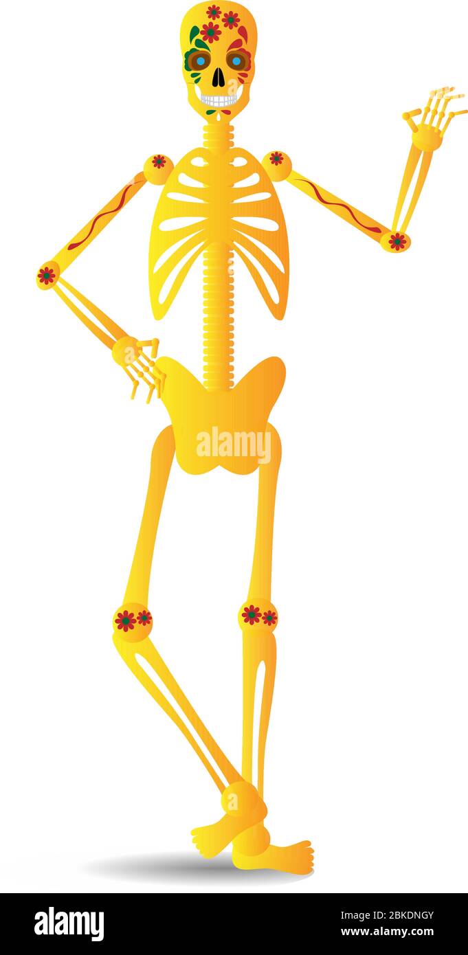 Isolated decorated skeleton. Mexican traditions - Vector illustration ...