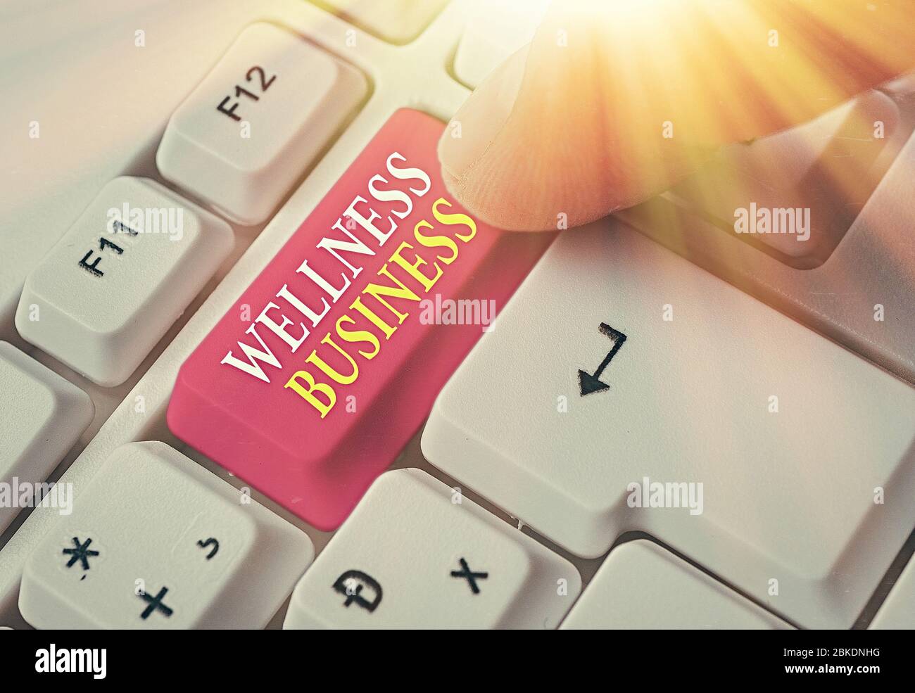 Conceptual hand writing showing Wellness Business. Concept meaning ...