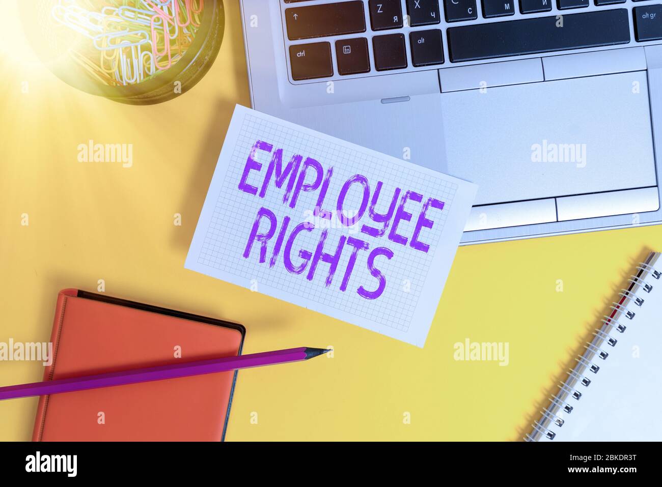 Text sign showing Employee Rights. Business photo showcasing All ...