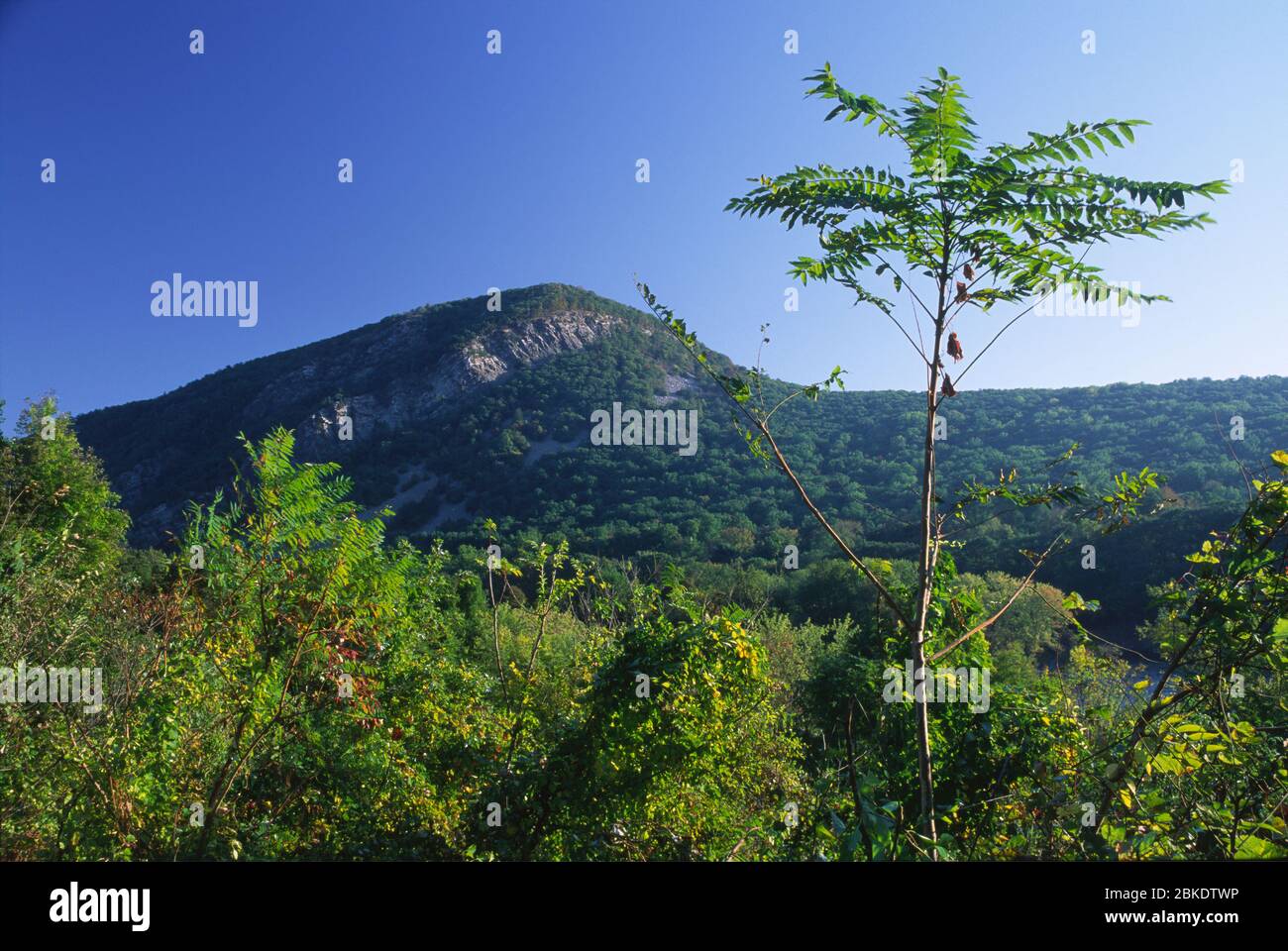 Arrow Island Overlook, Delaware Water Gap National Recreation Area ...