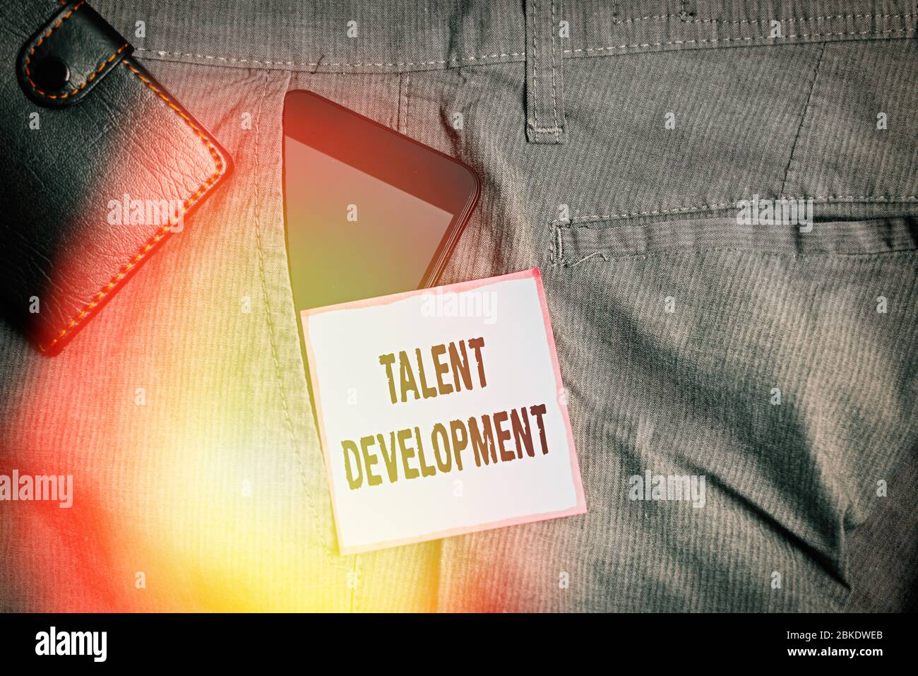 Word writing text Talent Development. Business photo showcasing Building Skills Abilities ...