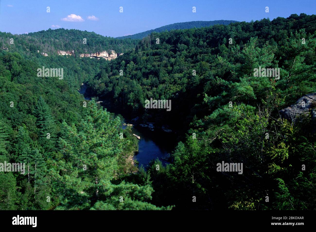 Tennessee River Gorge High Resolution Stock Photography and Images - Alamy