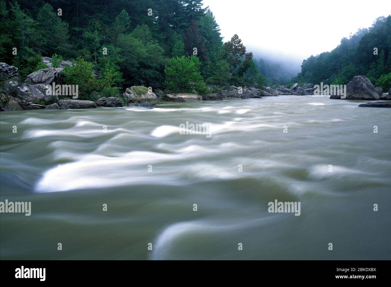 Angel falls rapids trail hi-res stock photography and images - Alamy