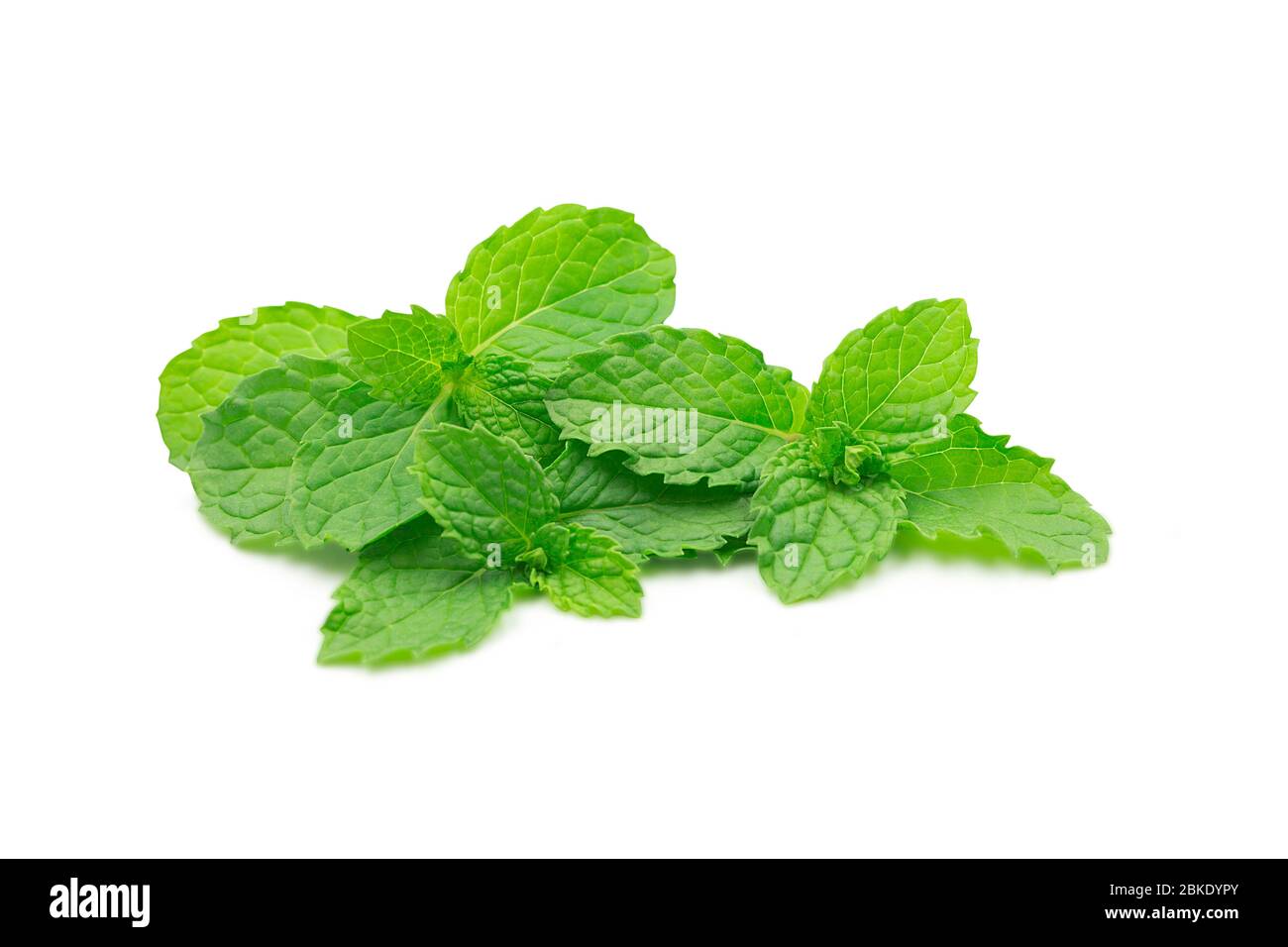Organic raw mint leaves or menthol on white isolated background with ...