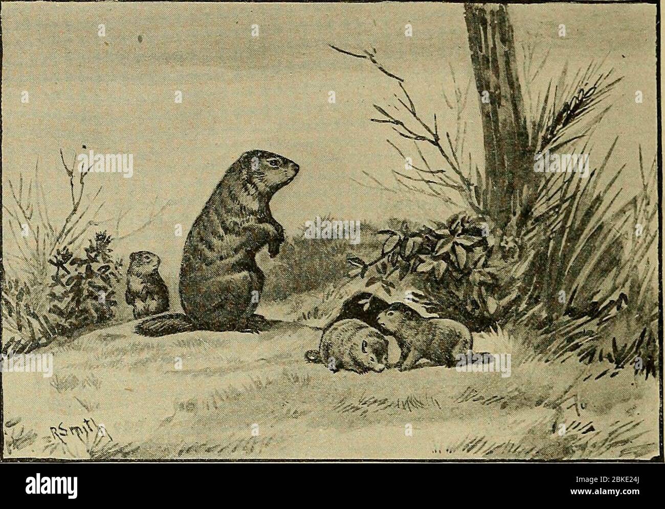 "Home geography for primary grades" (1903 Stock Photo - Alamy