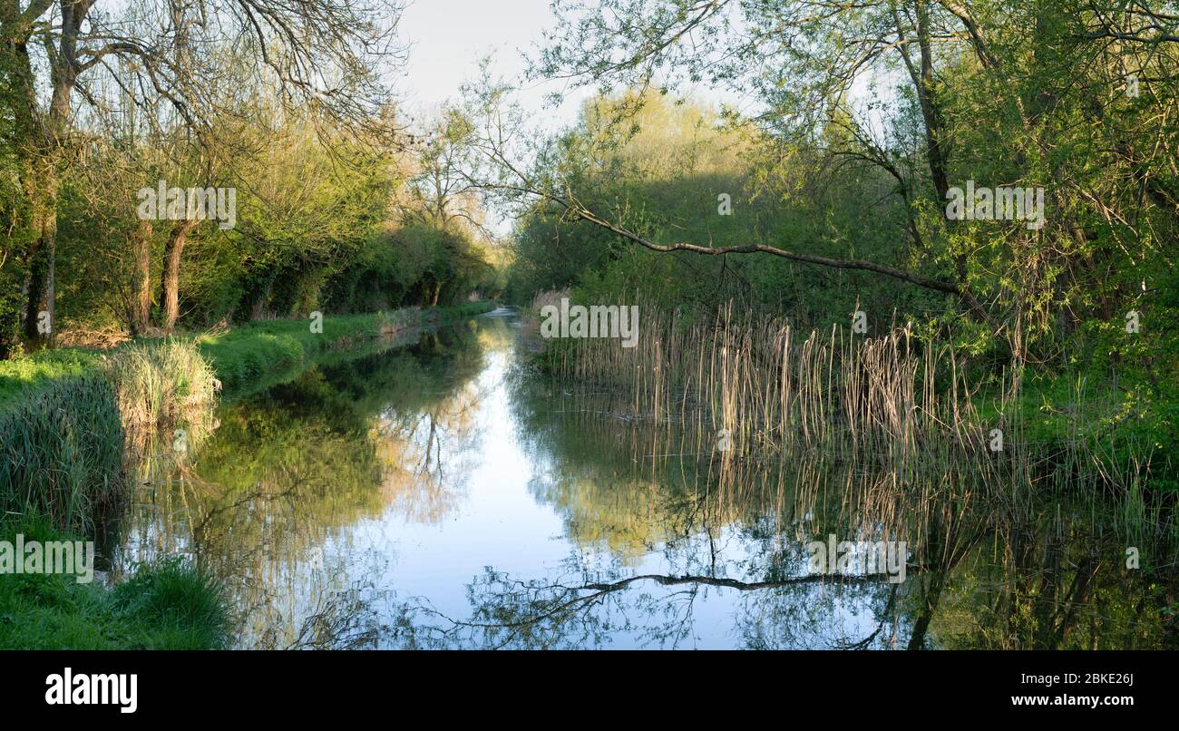 Oxford canal on a spring morning. Kirtlington, Oxfordshire, England ...