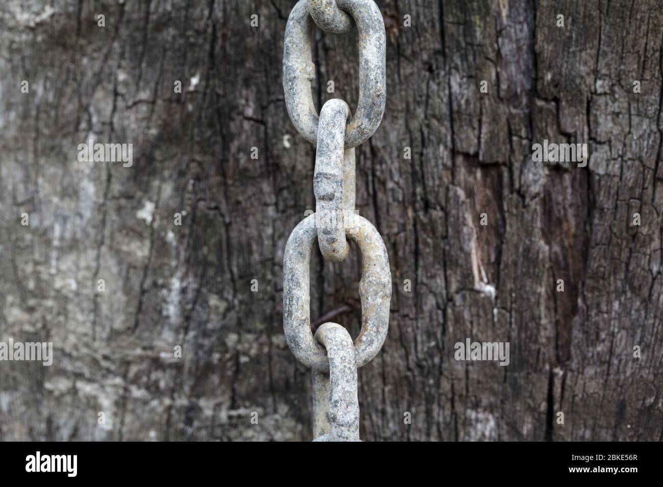 Rustic wooden texture, empty Chain Soft wood background with natural ...