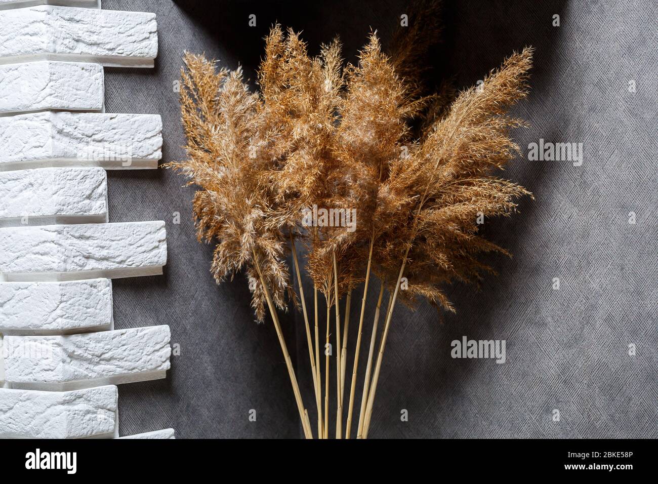 Dried reeds as home decor. Minimalistic cozy interior. Natural interior ...