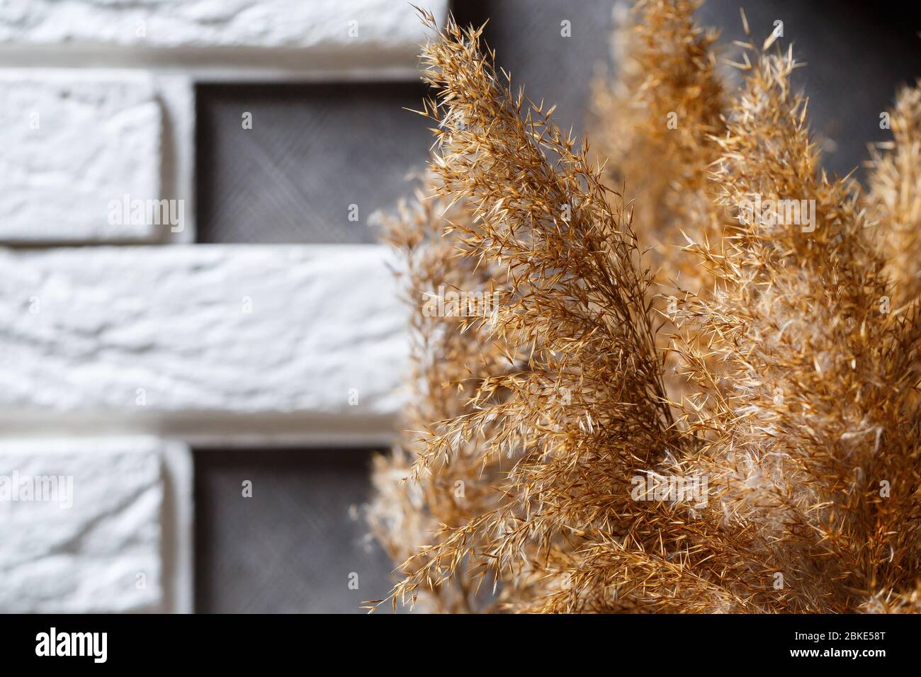 Dried reeds as home decor. Minimalistic cozy interior. Natural interior ...