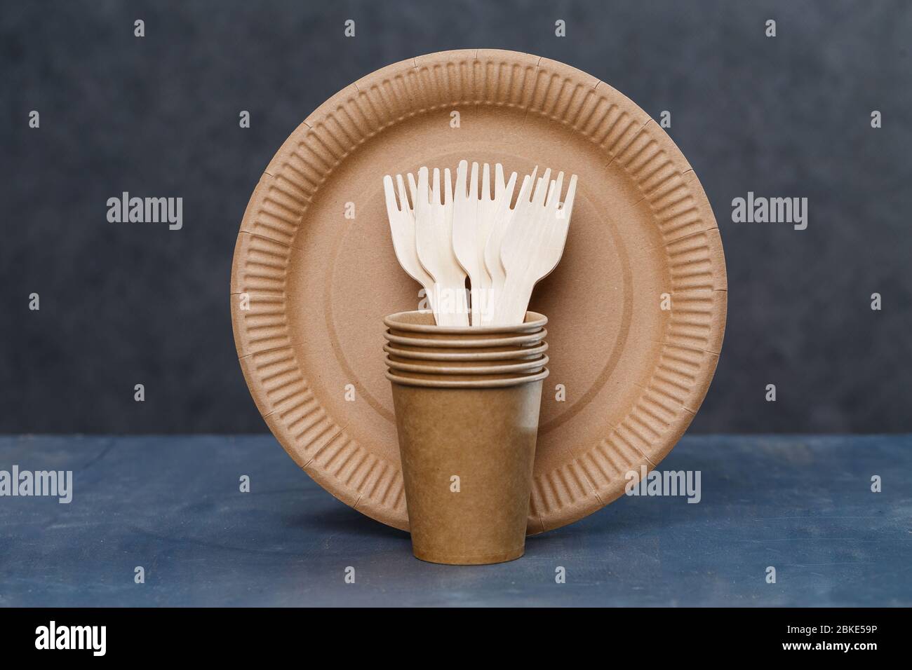 Disposable cardboard dishes made from environmentally friendly ...