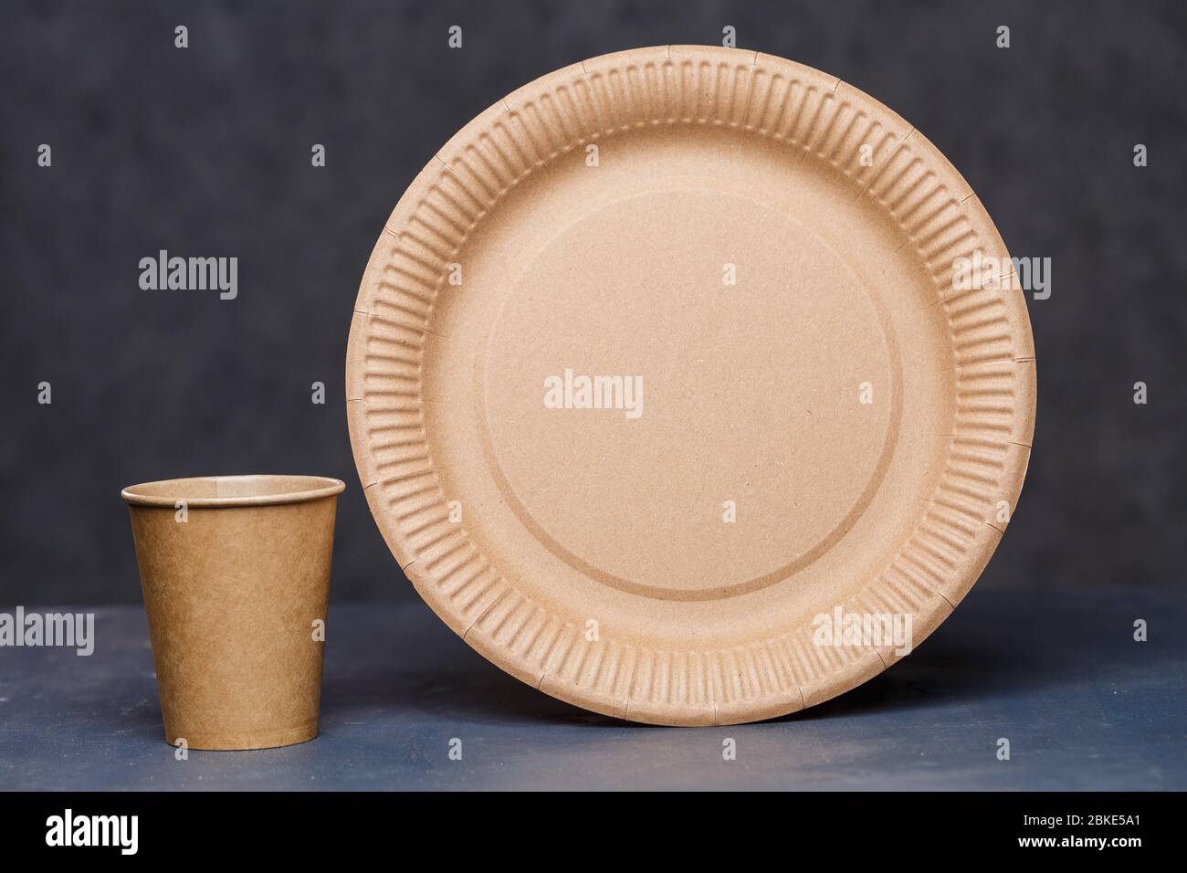 Disposable cardboard dishes made from environmentally friendly ...