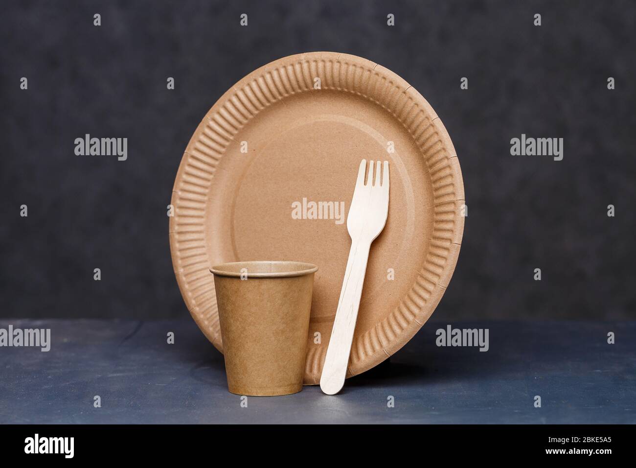 Disposable cardboard dishes made from environmentally friendly ...