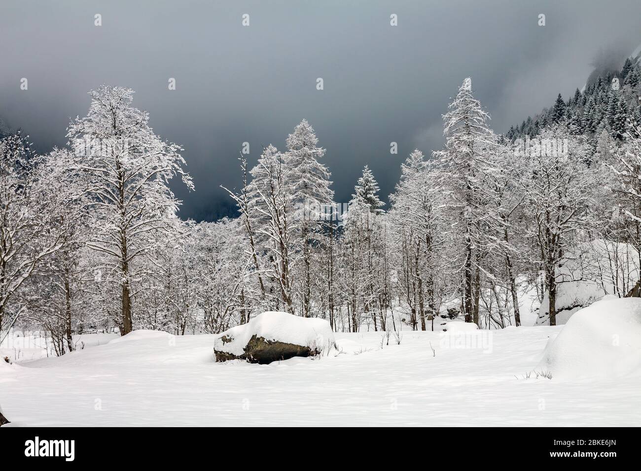 Italian Alps - winter landscape with fresh snow Stock Photo - Alamy