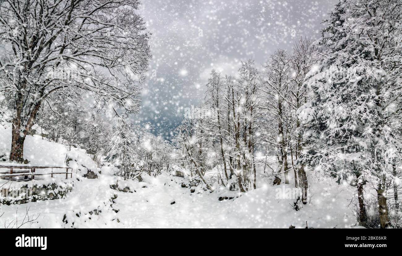 Natural landscape in italian alps hi-res stock photography and images ...