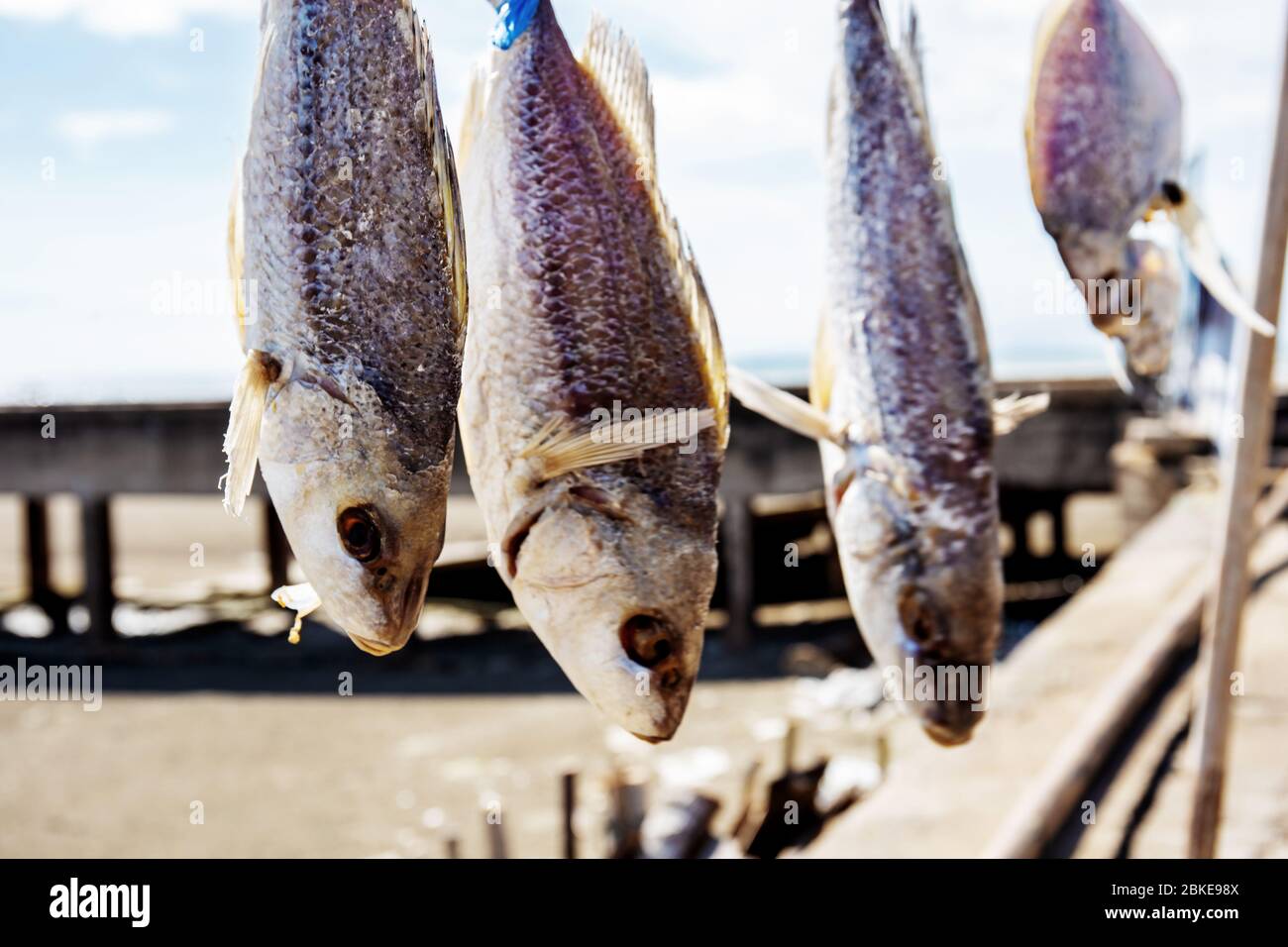 Dry fish of hanging at sea with the sunlight Stock Photo - Alamy