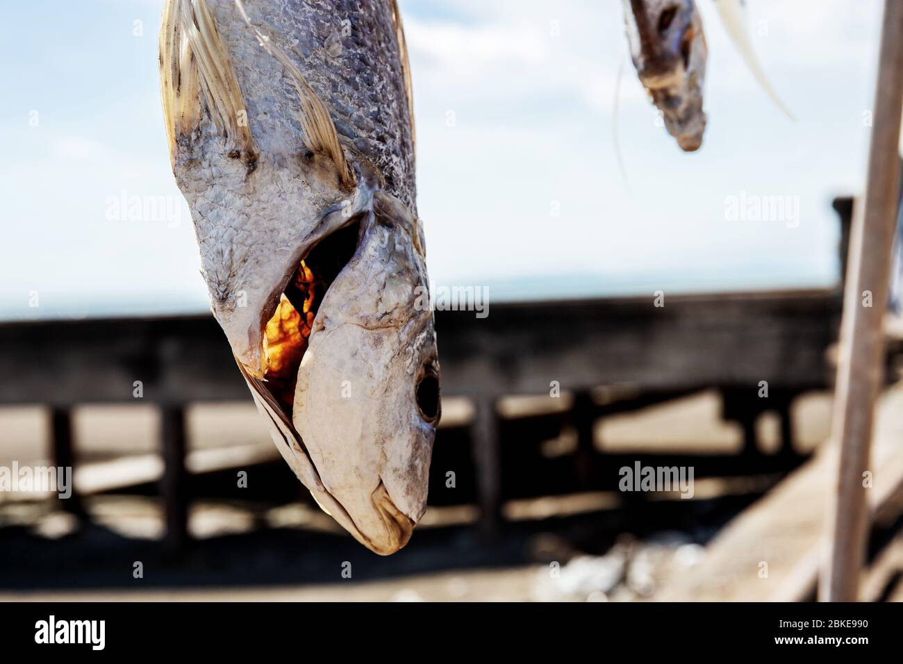 Dry fish of hanging at sea in the countryside Stock Photo - Alamy