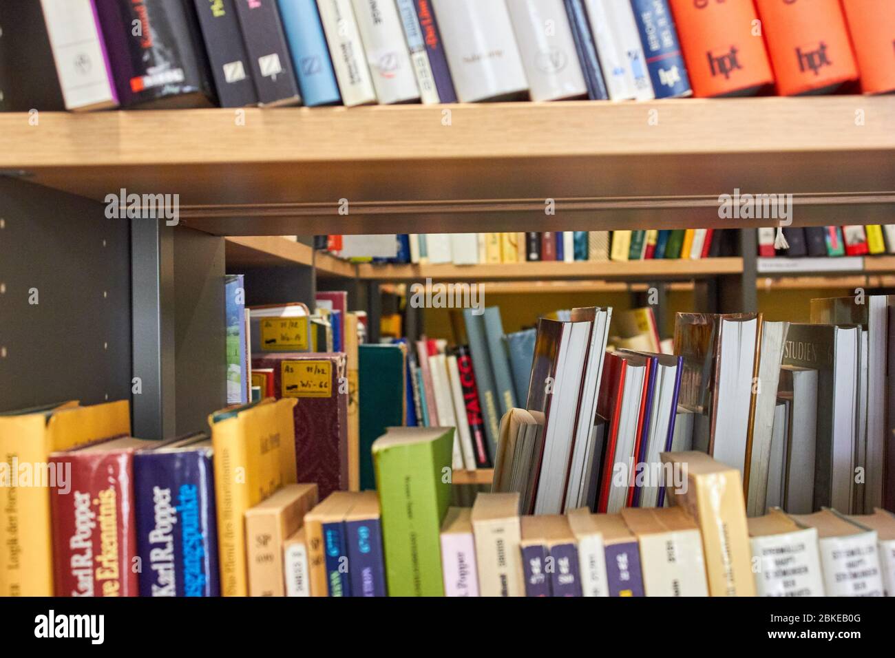 Library shelves with many books Stock Photo - Alamy