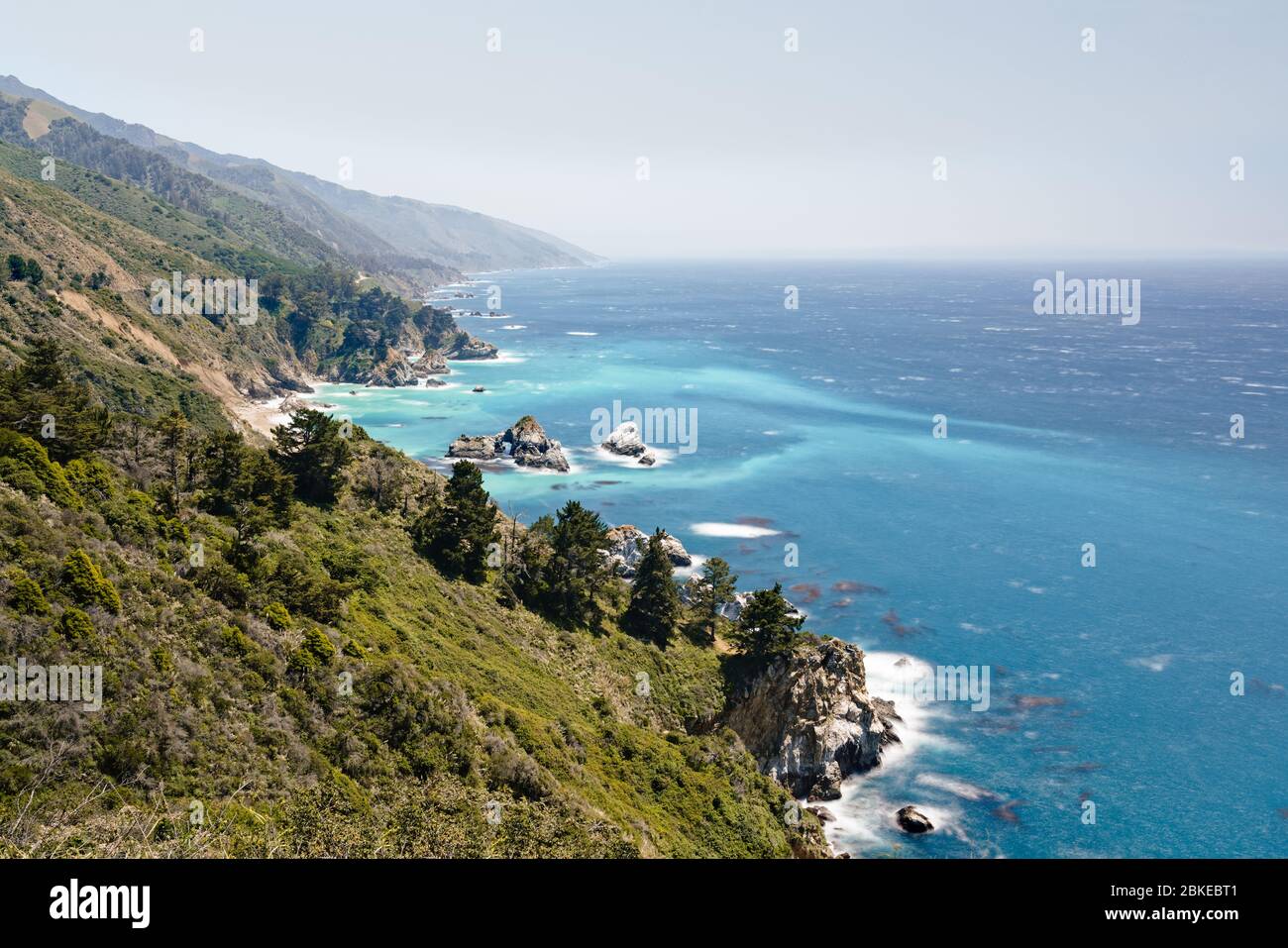 Redwood forest big sur hi-res stock photography and images - Alamy