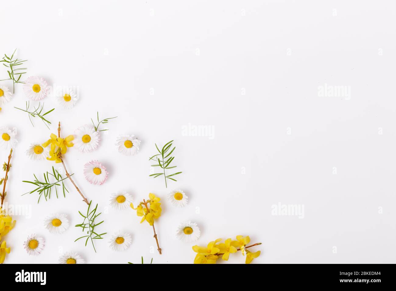 Spring frame of small flowers and daisy, floral arrangement Stock Photo ...