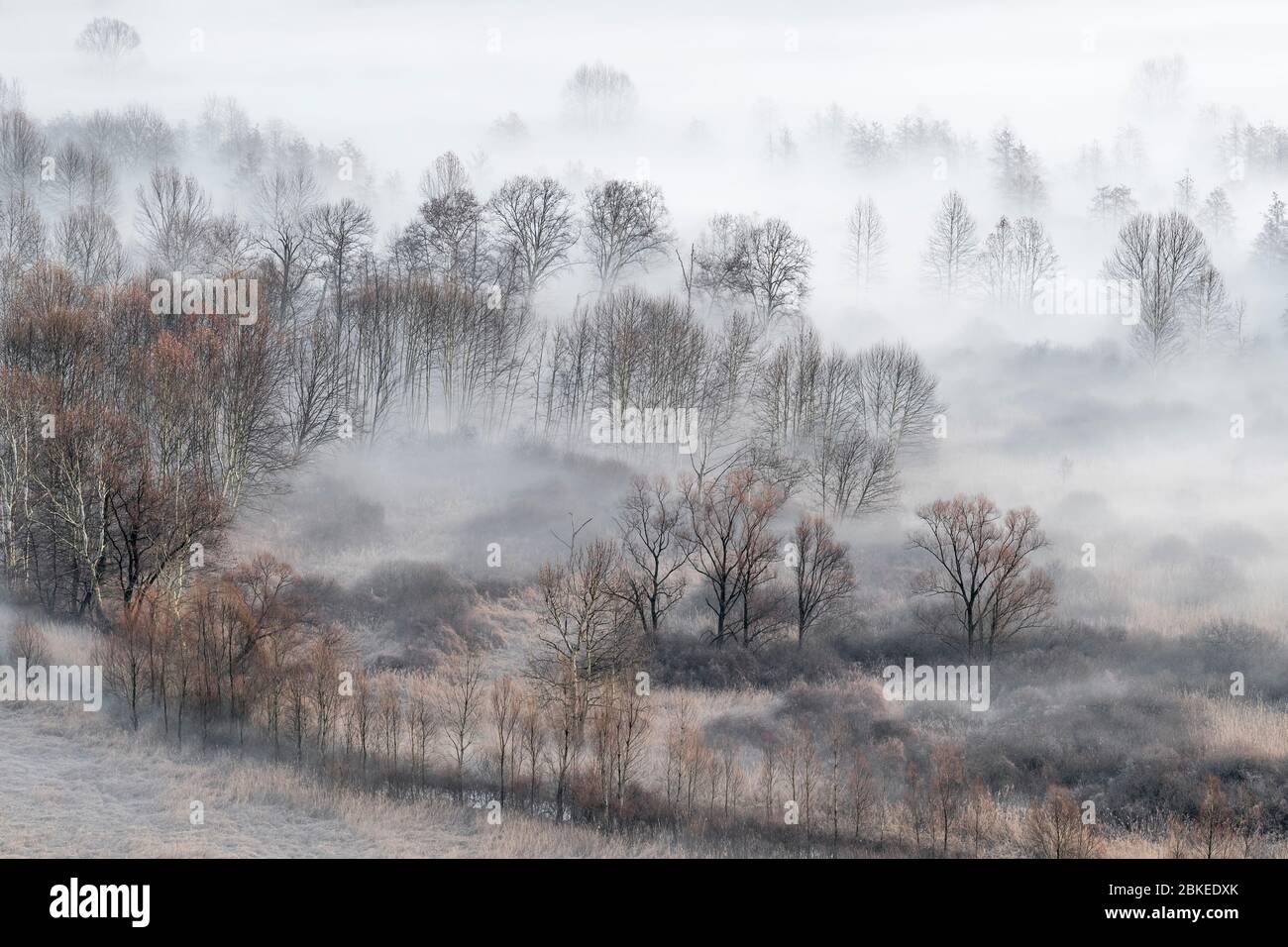 Winter landscape at dawn Stock Photo - Alamy