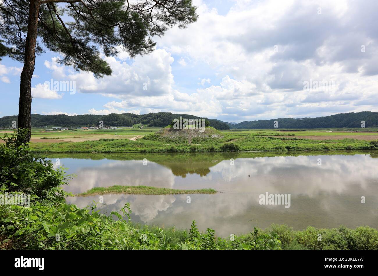 Pine tree beside a beautiful river. Andong, Gyeongsangbuk-do, Korea ...