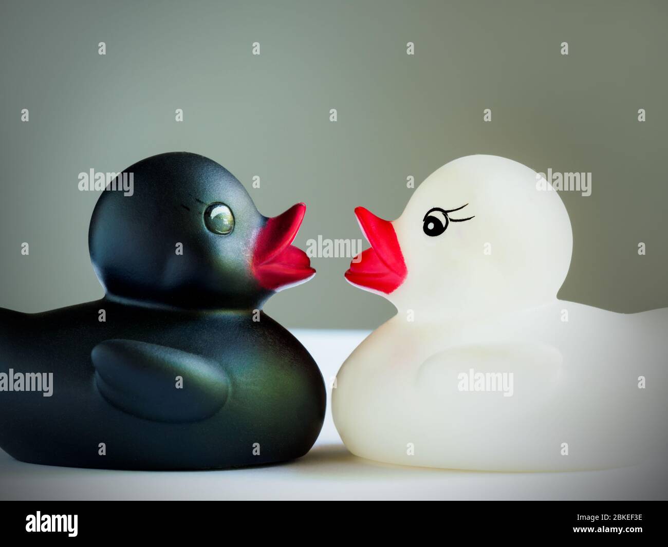 Two cute toy rubber ducks, one white and the other one black .They are ...