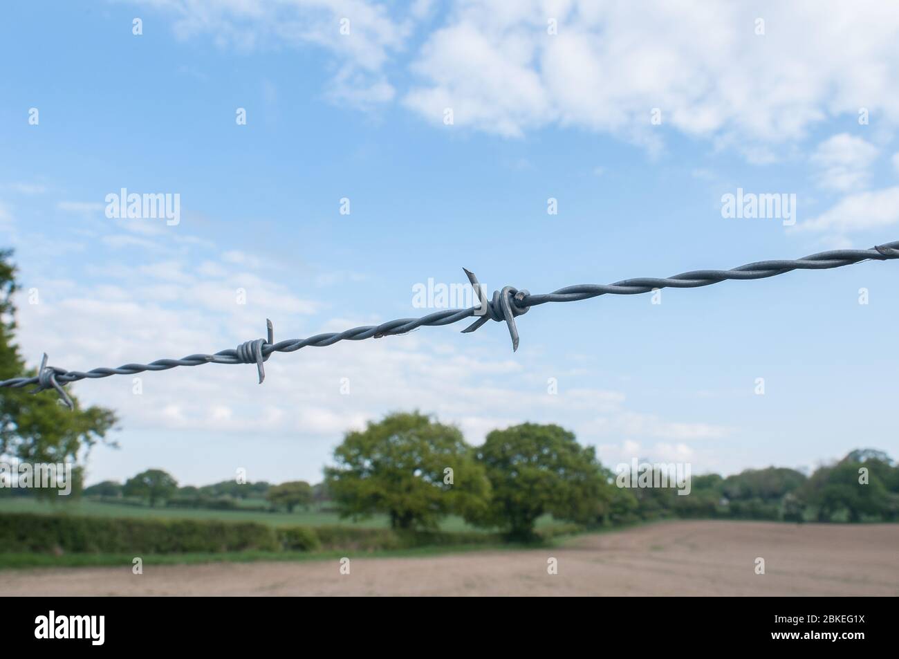 Barbed wire steel close hi-res stock photography and images - Alamy