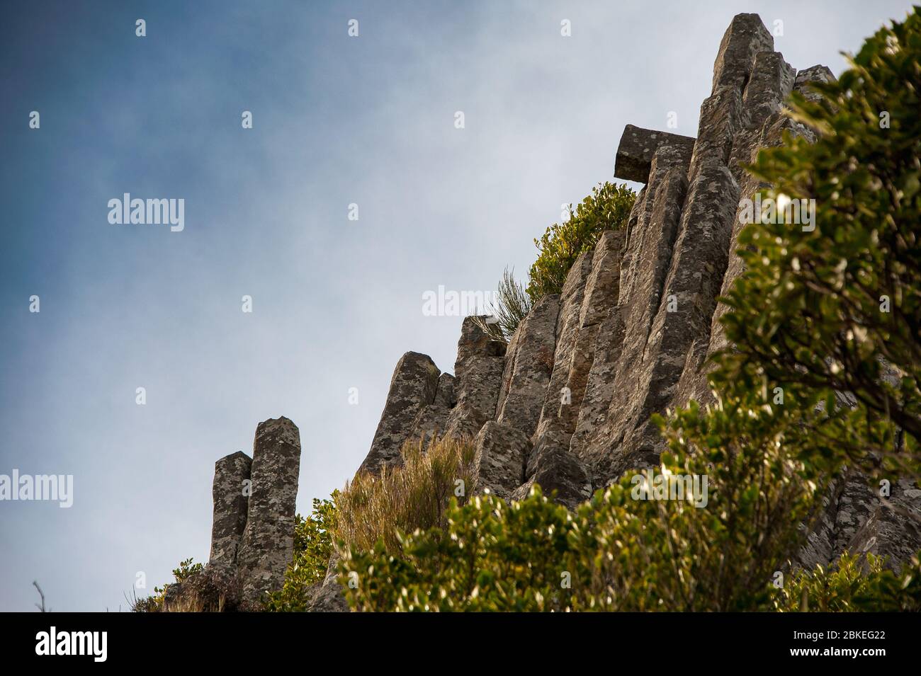 The Organ Pipes, unique basalt columns Mt Cargill, Dunedin, New Zealand ...