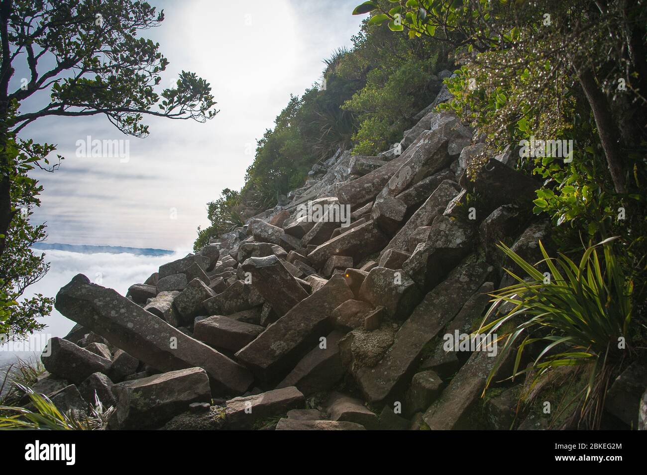 The Organ Pipes, unique basalt columns Mt Cargill, Dunedin, New Zealand ...