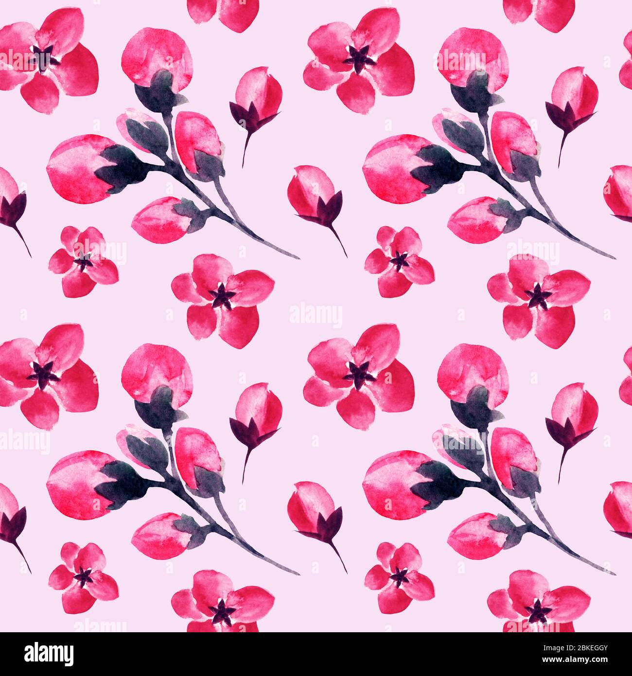 Pink sakura flowers pattern background, watercolor floral blossom ...