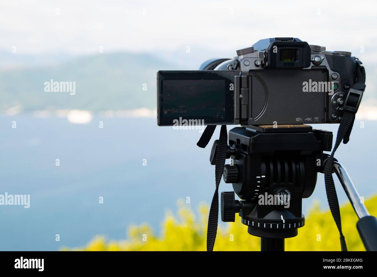 Photograph captures forest landscape hi-res stock photography and ...