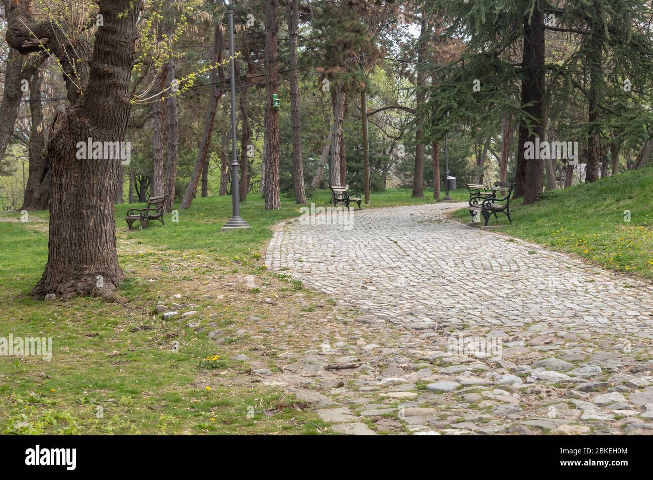 Park With Benches and Pavement Stock Photo - Alamy