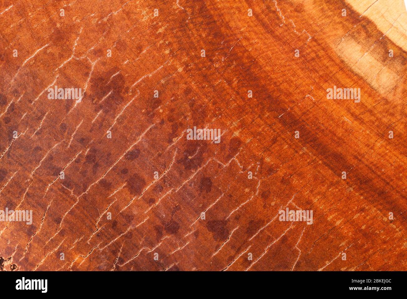 Red wood pattern of the surface texture Stock Photo - Alamy