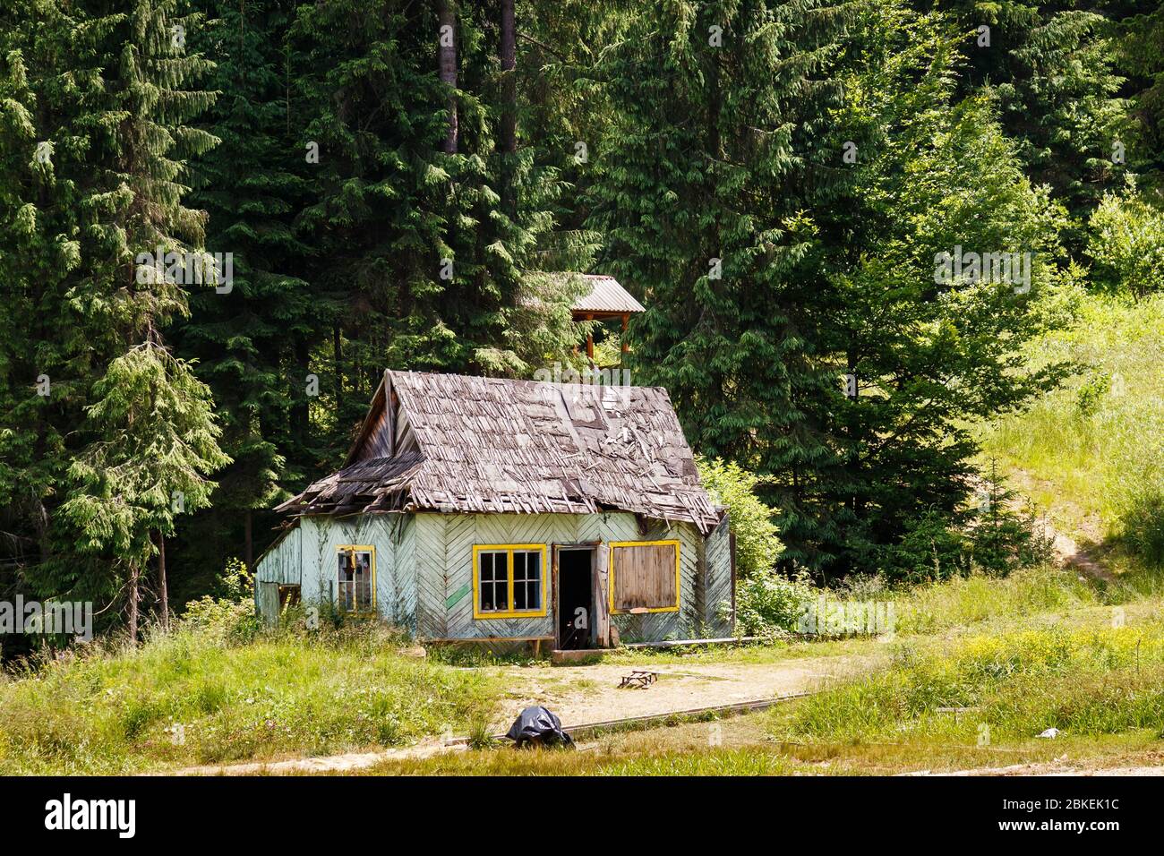 Old Houses In The Forest